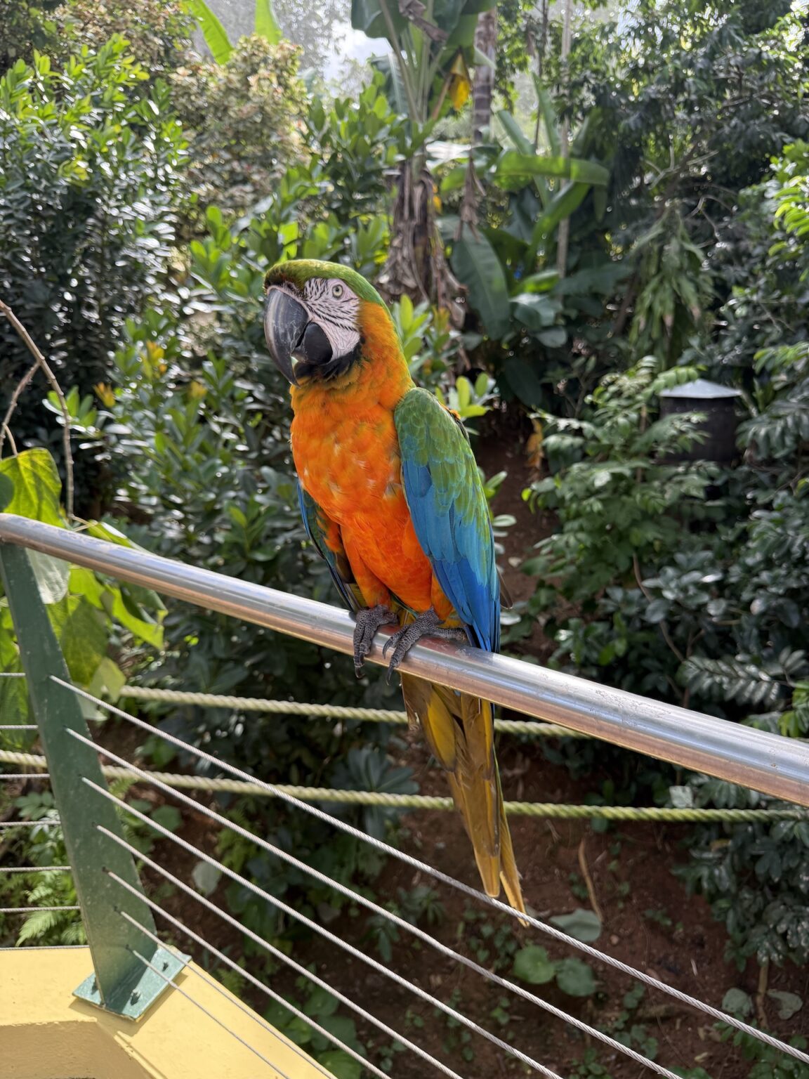 Parque La Marquesa in Guaynabo: A Must-Visit Nature Park Near San Juan ...
