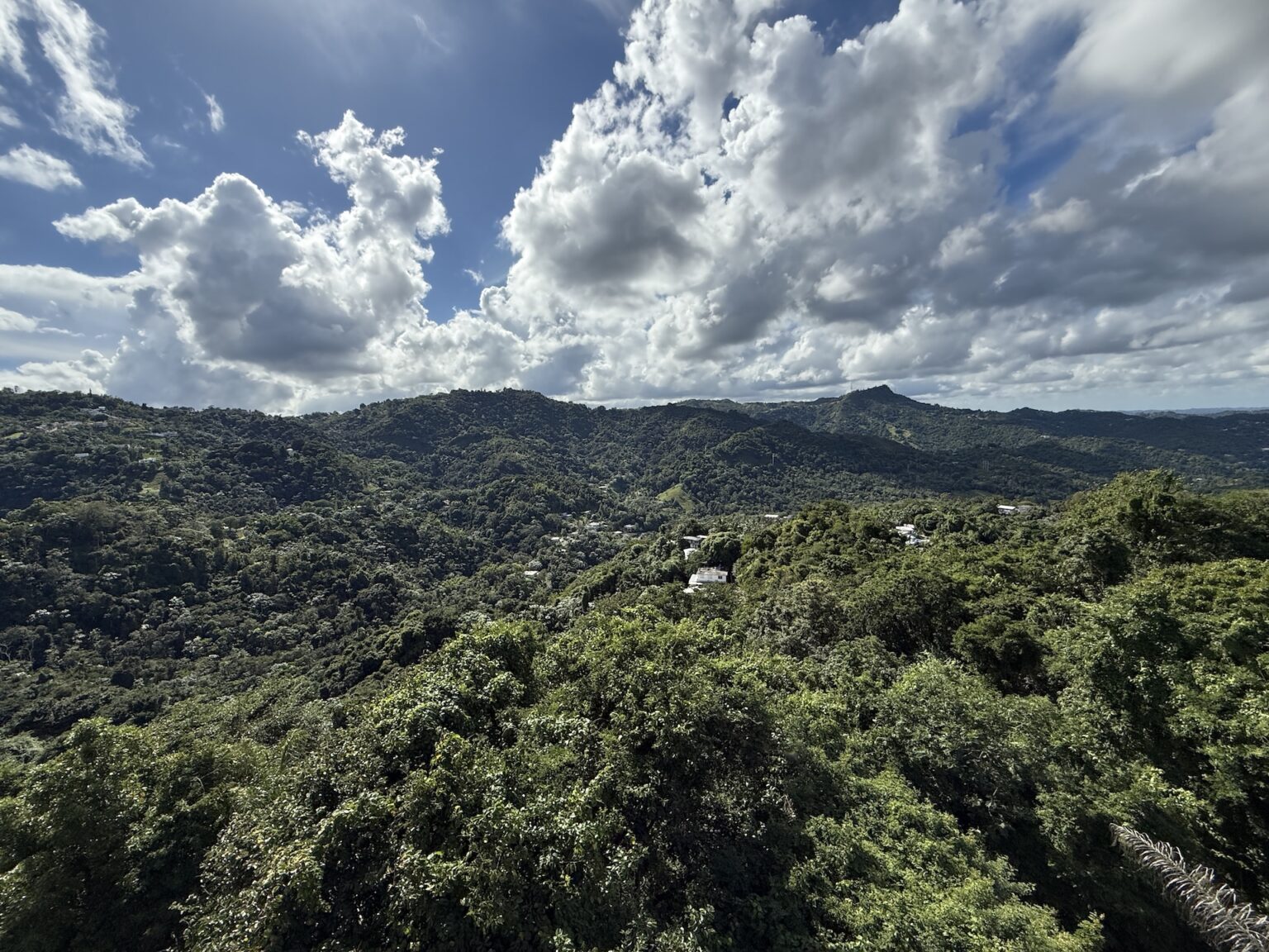 Parque La Marquesa in Guaynabo: A Must-Visit Nature Park Near San Juan ...
