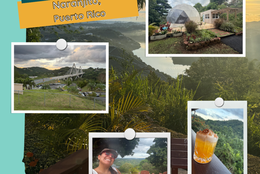 Parque La Marquesa in Guaynabo: A Must-Visit Nature Park Near San Juan ...